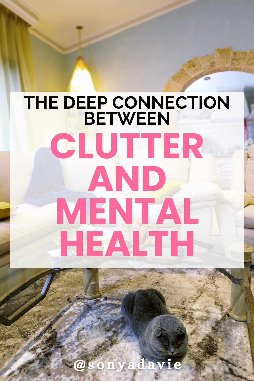 The Vicious Cycle of Clutter and Mental Health You Need to Know About